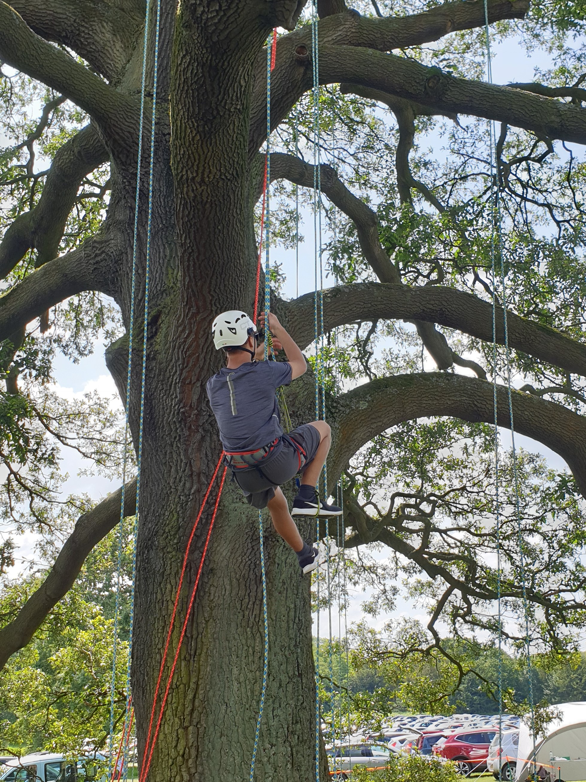 20190622_124013 (2) – Discover Tree Climbing