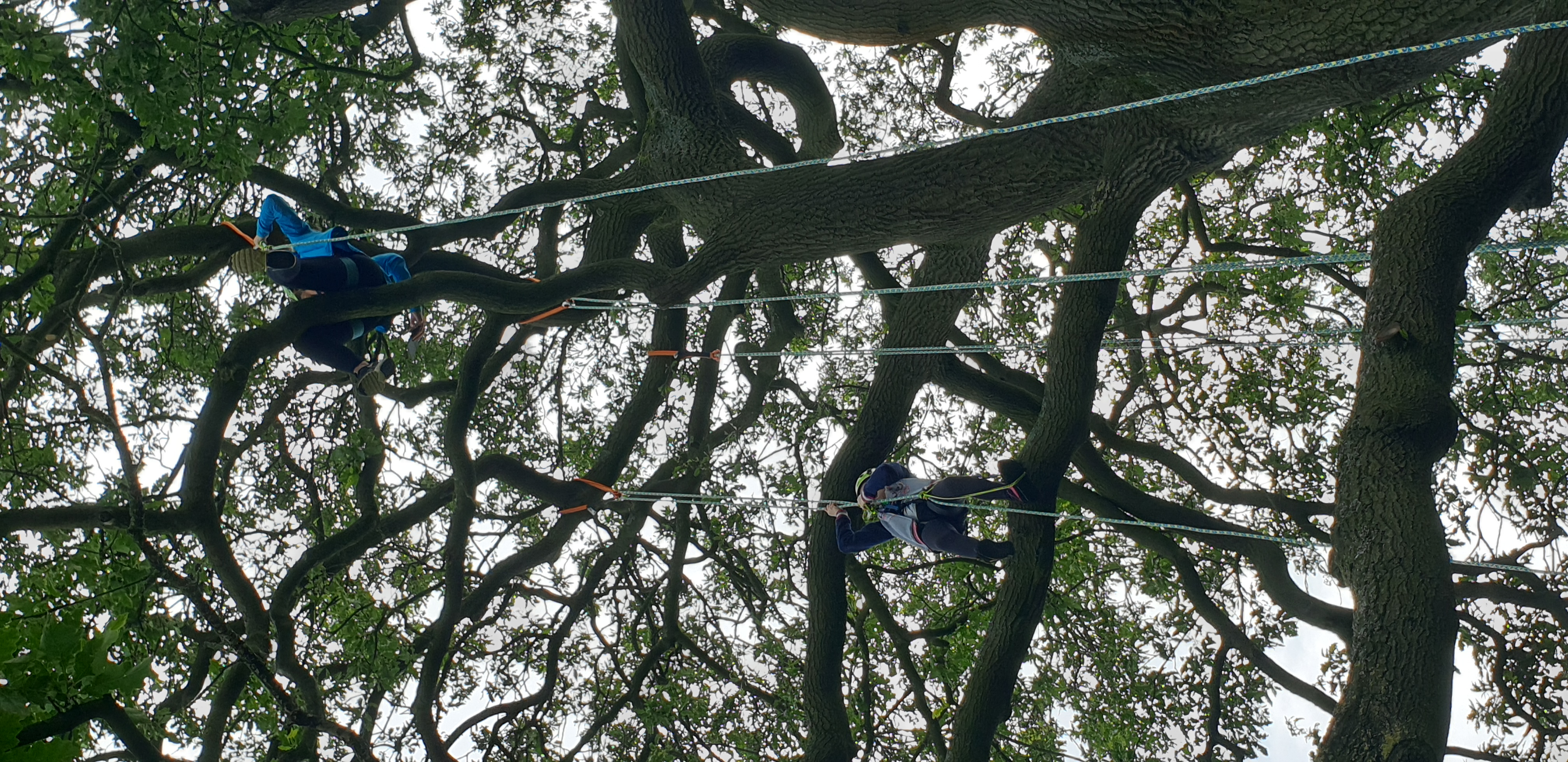 20190623_112940 – Discover Tree Climbing