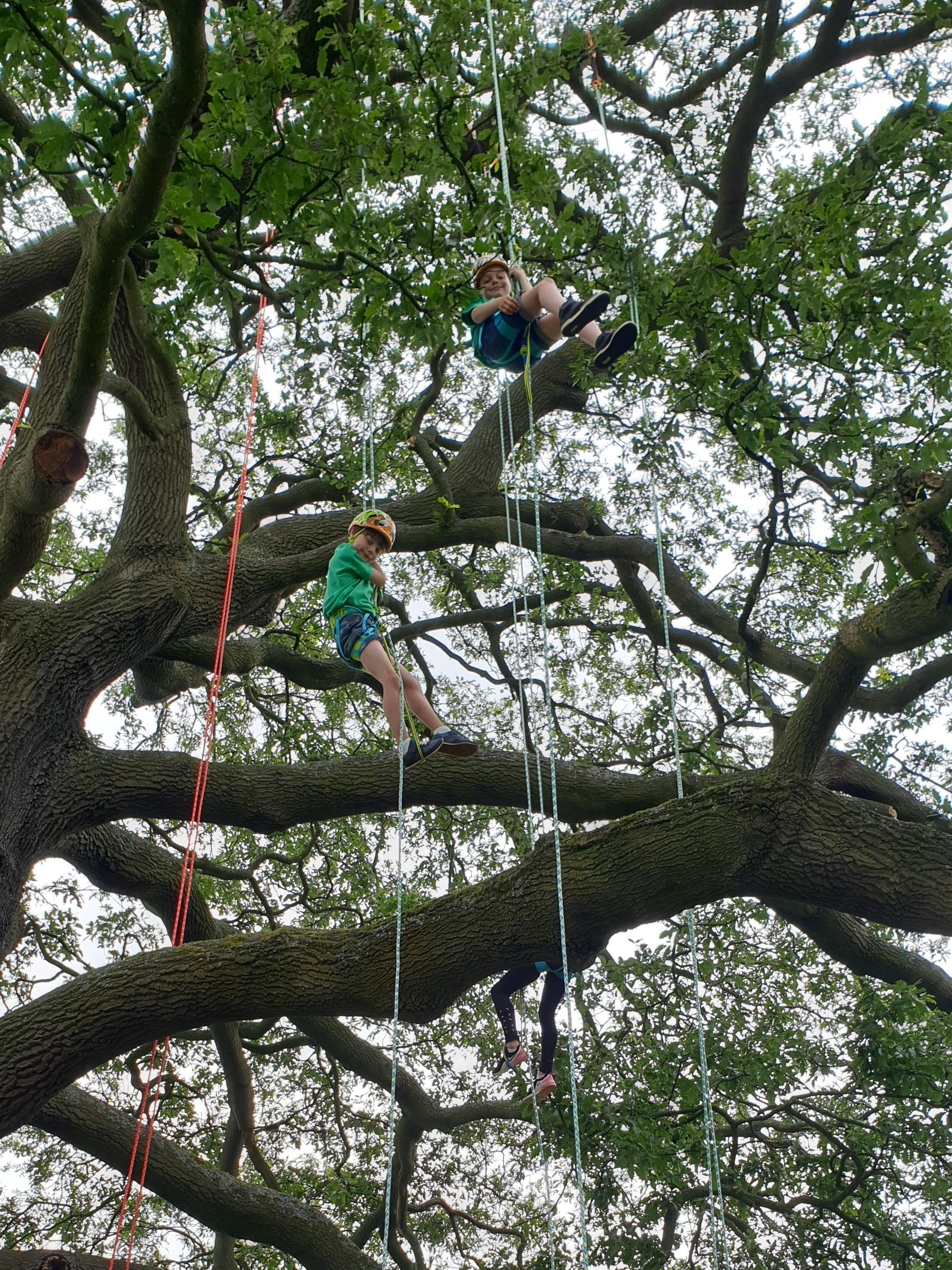 20190623_131315 (2) – Discover Tree Climbing